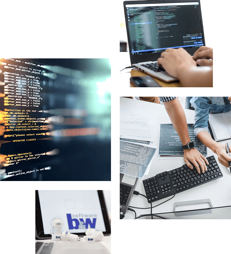 Software Development B W Software